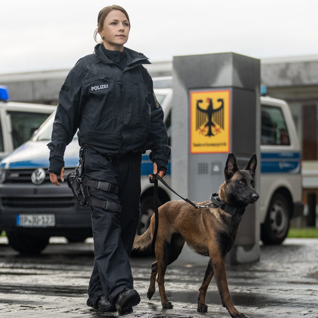 Vier Pfoten - Große Verantwortung! Die Rolle des Diensthundes im ...